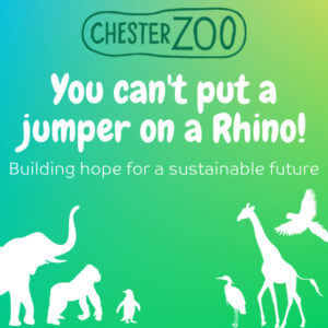 Chester Zoo member event - pro-manchester