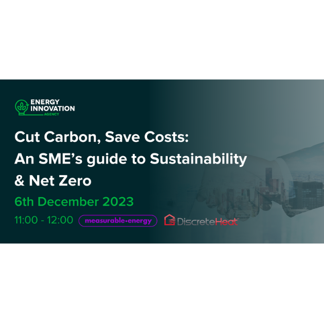 Cut Carbon, Save Costs: An SME’s guide to Sustainability and Net Zero - pro-manchester