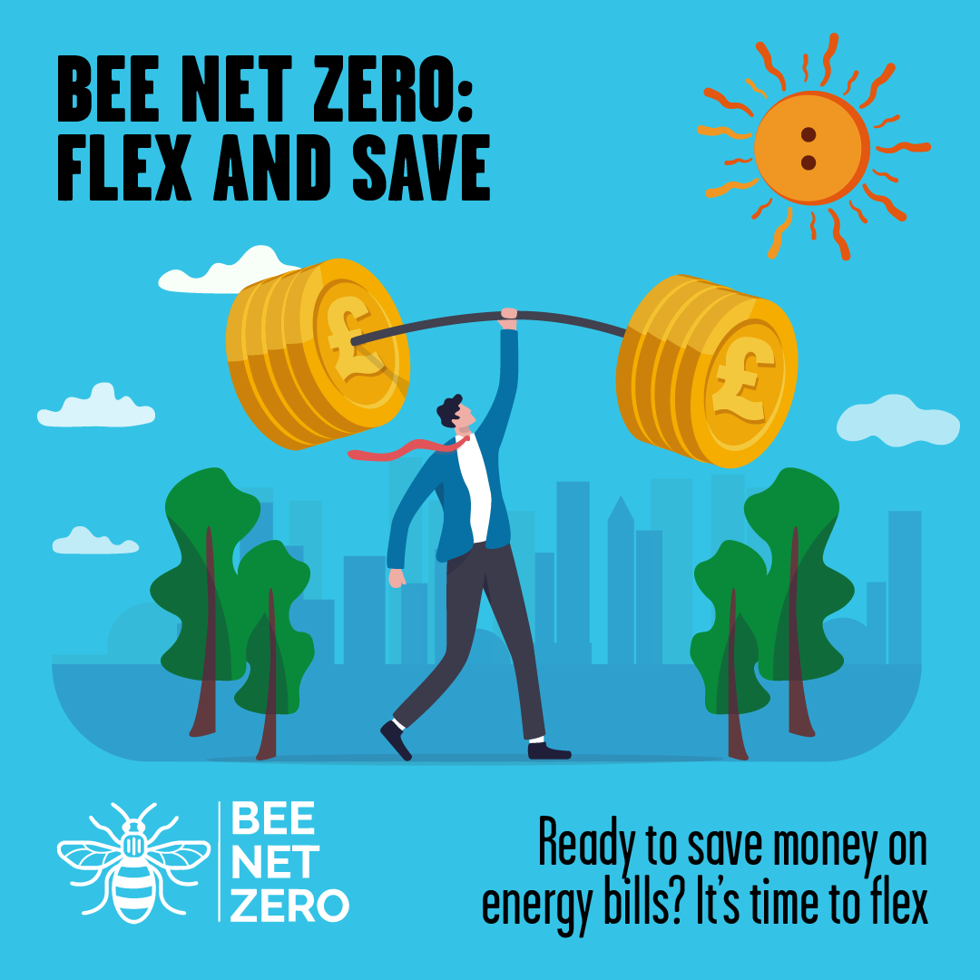 Bee Net Zero Energy Flexibility - pro-manchester